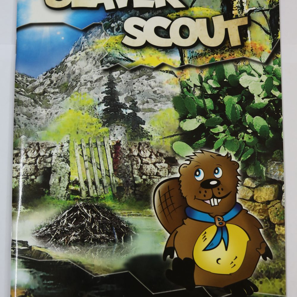 Beaver Certificates (Pack of 10) - Scout Badge Shop