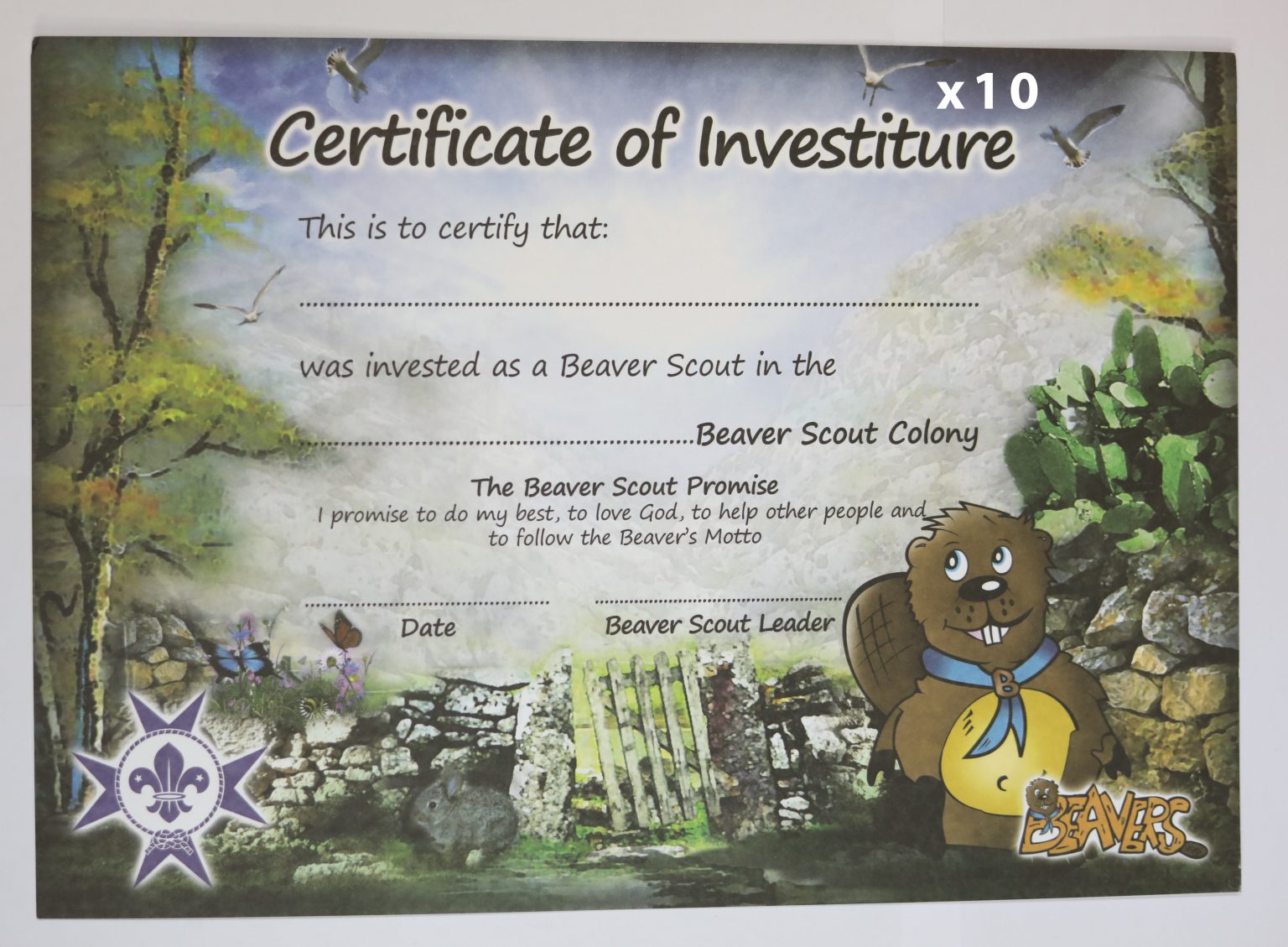 Beaver Certificates (Pack of 10) - Scout Badge Shop